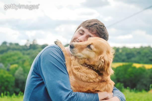 Guy and his dog, golden retriever, nature 이미지 (983676358) - 게티이미지뱅크