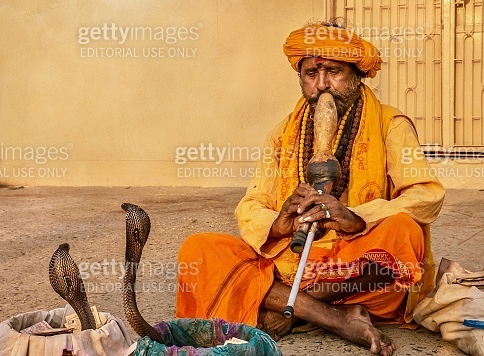 An Indian snake charmer is playing a traditional musical instrument ...