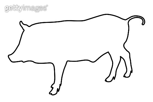 Wild boar outline of the black lines. Vector illustration. (1012381868 ...