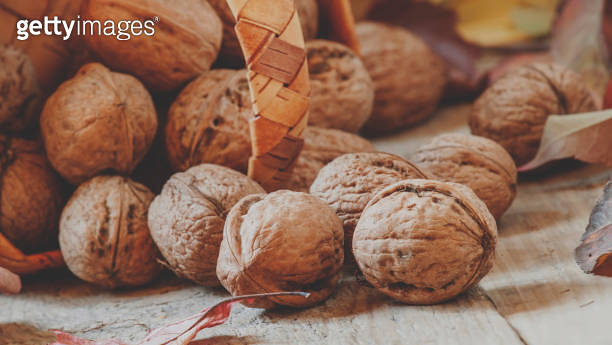 Fresh walnuts spill out of a wicker basket on autumn background with ...
