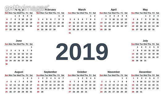 2019 Calendar year. Vector illustration. Template planner. (1010907810 ...
