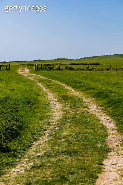 footpath dirt road track dorset england uk 이미지 (957005778) - 게티이미지뱅크