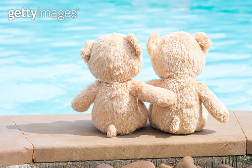 Two teddy bears pool edge view. Love and relationship concept ...