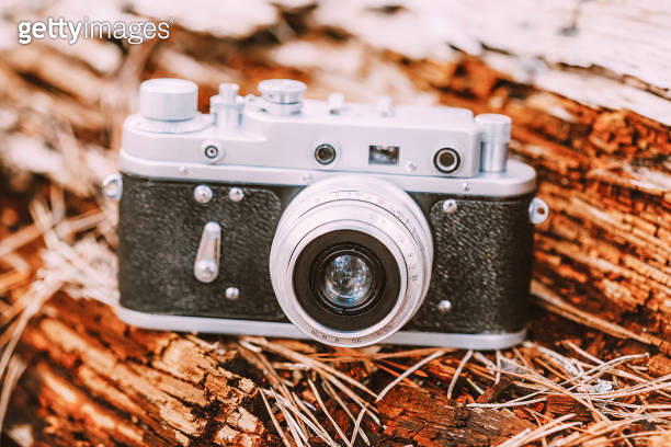 35mm Vintage Old Retro Small-Format Camera On Old Fallen Wood Tree In ...
