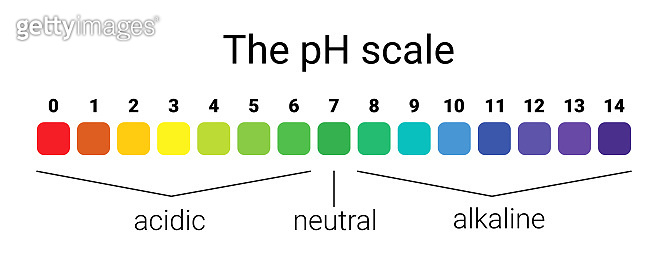 ph scale. infographic acid-base balance. scale for chemical analysis ...
