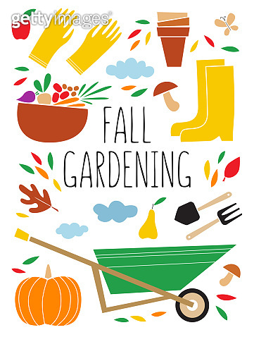 Fall gardening 이미지 (1044243126) - 게티이미지뱅크