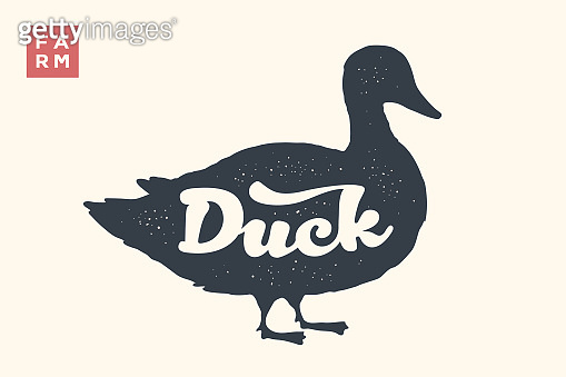 Duck. Lettering, typography. Animal silhoutte duck, lettering 이미지 ...