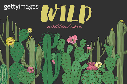 Horizontal poster with cactus and succulent in sketch style 이미지 ...