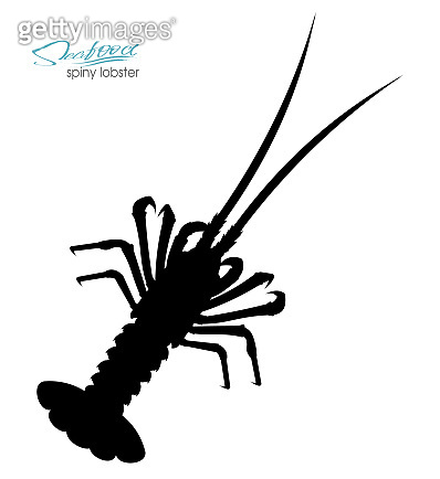 Silhouette spiny lobster. Linear silhouette spiny lobster. Spiny ...