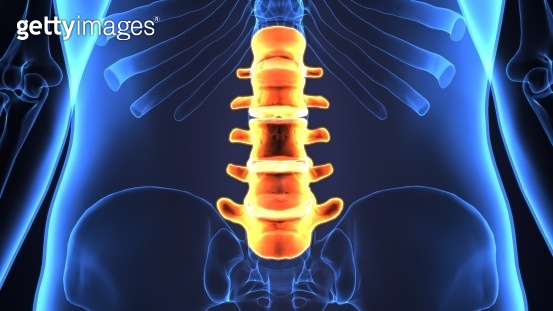 3d illustration of human body Lumbar vertebrae bone anatomy (962082144 ...