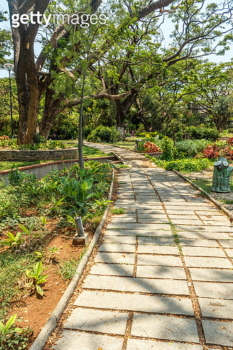 Wide view of green garden with grass, trees, plants and shadows 이미지 ...