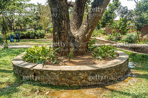 Wide view of green garden with grass, trees, plants and shadows 이미지 ...