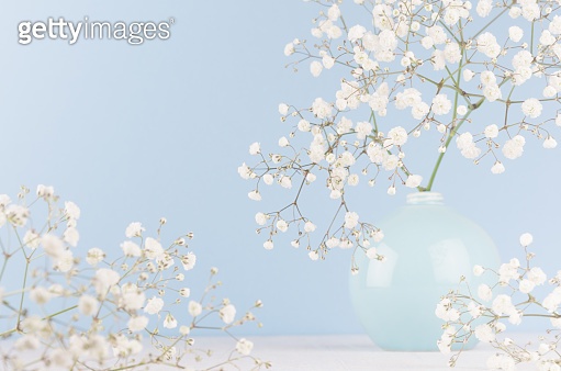 Spring bouquet of white small fluffy flowers in blue smooth circle ...