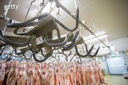 close up image of a meat hooks in a slaughterhouse with mutton ...