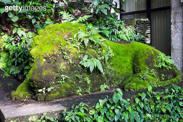 Old lion sculpture covered of moss in Ubud monkey forest (1014754424 ...