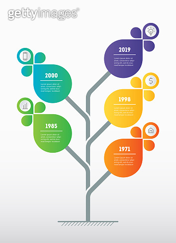 Business presentation concept with 5 options. Web Template of ...