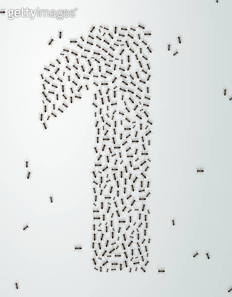 Teamwork concept: Ant Crowd Forming A Big Number 1 Symbol 이미지 ...