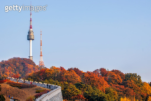 Namsan Tower and autumn maple tree mountain in Korea. (929670342) - 게티이미지뱅크