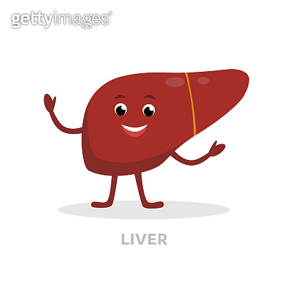 Strong healthy liver cartoon character isolated on white background ...
