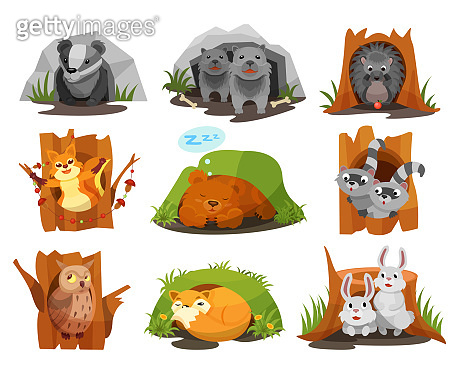Cute animals sitting in burrows and hollows set, badger, wolves cubs ...
