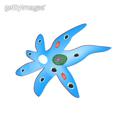 The structure of the amoeba is intestinal. Gastrointestinal Amebiasis ...