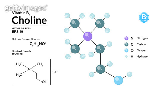 Structural chemical molecular formula and model of choline. Atoms are ...