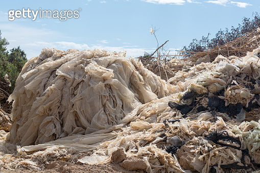 Ecology disaster and pollution of nature, plastic garbage decomposes ...