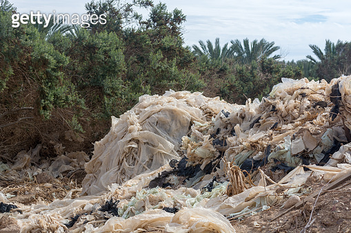 Ecology disaster and pollution of nature, plastic garbage decomposes ...