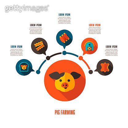 Pig farming icon and agriculture infographics 이미지 (942638596) - 게티이미지뱅크
