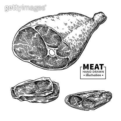 Parma ham vector drawing. Hand drawn hamon meat illustration. Italian ...