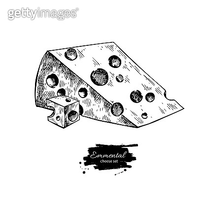 Emmental cheese drawing. Vector hand drawn food sketch.Engraved 이미지 ...
