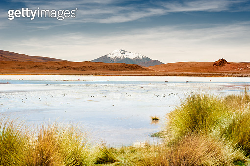 High-altitude lagoon and volcano on plateau Altiplano, Bolivia ...