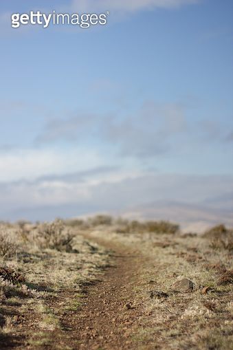Running trails and beautiful views in the Cowiche Canyon Conservancy ...