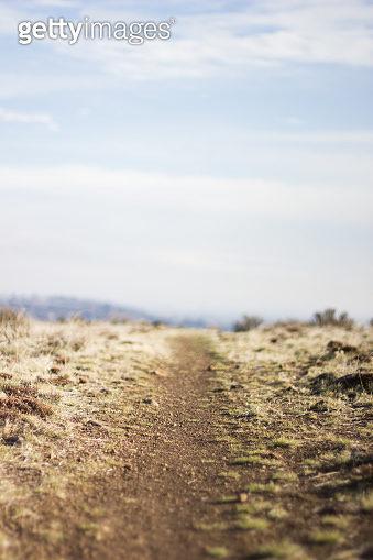 Running trails and beautiful views in the Cowiche Canyon Conservancy ...