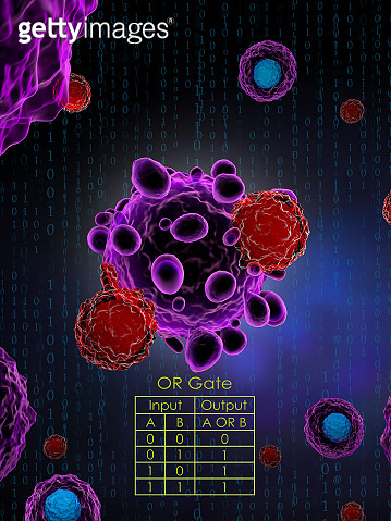 OR-gate CAR T cells 이미지 (1082079730) - 게티이미지뱅크