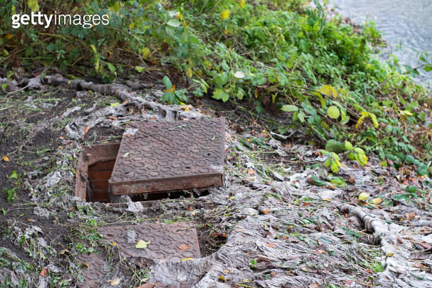 Overflowing Sewer Drain Surrounded By Tissue Paper (1067483752) - 게티이미지뱅크