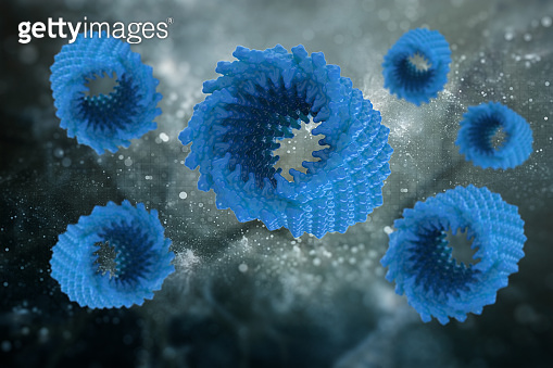 Bacilliform virus. Structure of the bacilliform virus. (950577482) - 게티 ...