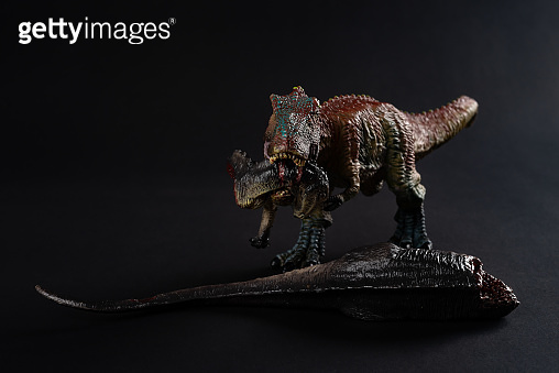 front view tyrannosaurus with a dinosaur body nearby on dark background ...