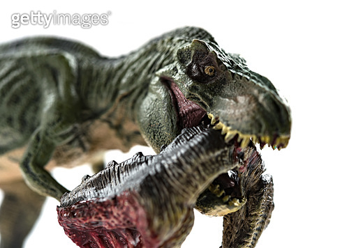 tyrannosaurus biting a dinosaur body with blood on white background ...