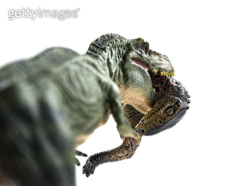 tyrannosaurus biting a dinosaur body with blood on white background ...