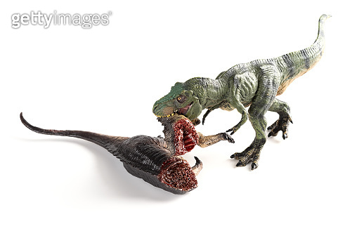 top view tyrannosaurus biting a dinosaur body on white background 이미지 ...