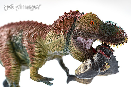 tyrannosaurus biting a dinosaur body with blood on white background ...