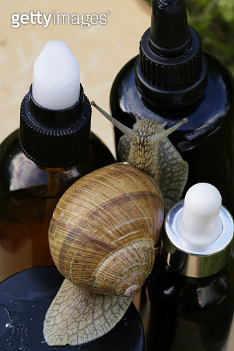 cosmetic with snail mucus.cosmetic set with extract of snail slime ...