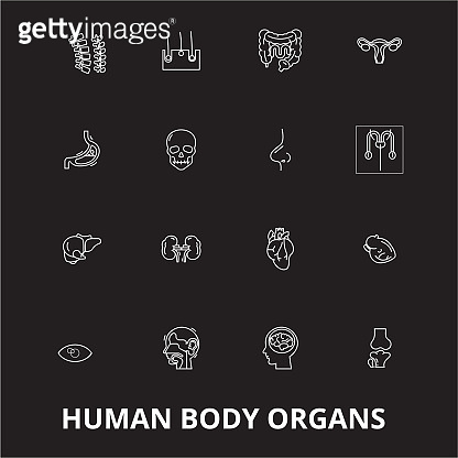 Human body organs editable line icons vector set on black background ...