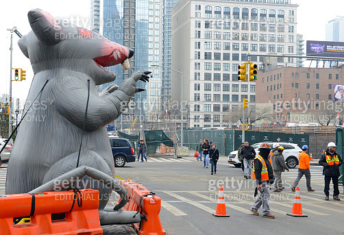 Inflatable rat known as Scabby the Rat, being used by Labor Union ...