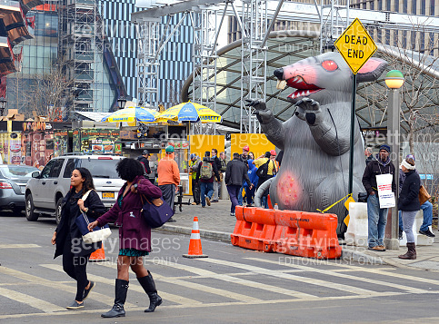 Inflatable rat known as Scabby the Rat, being used by Labor Union ...