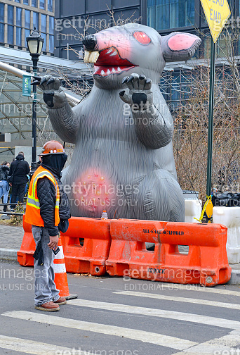 Inflatable rat known as Scabby the Rat, being used by Labor Union ...
