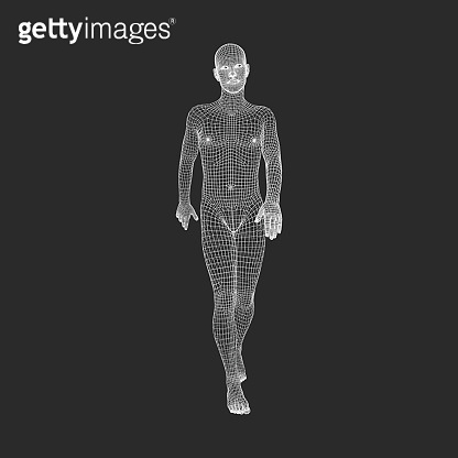 Walking Man. 3D Human Body Model. Geometric Design. Human Body Wire ...