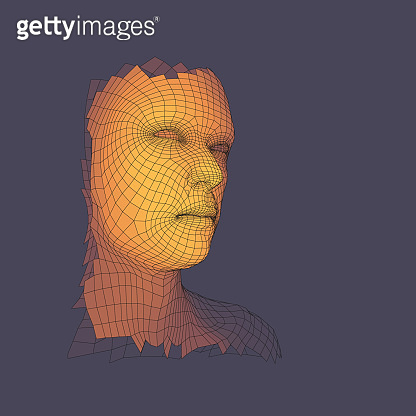 Head of the Person from a 3d Grid. Human Head Wire Model. Face Scanning ...