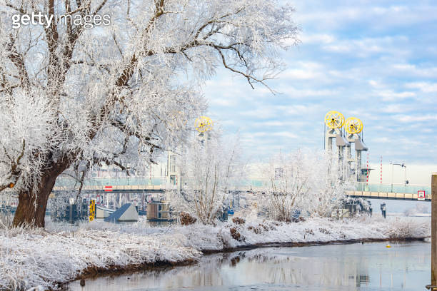 Frozen trees with the Stadsburg in Kampen during a beautiful winter day ...